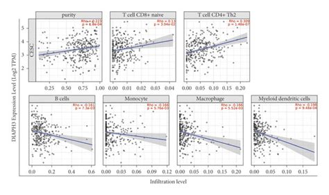 correlation of diaph3 expression with immune infiltration level in cesc