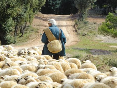Iphes Cerca Institut Català De Paleoecologia Humana I Evolució Social
