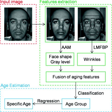 Proposed Method For Specific Age Estimation Download Scientific Diagram
