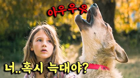 《이 이야기는 실화임》 새끼 늑대 실제 야생늑대 를 강아지인 줄 알고 집에서 키우게 되면 벌어지는 놀라운 일들 영화리뷰결말포함 Youtube