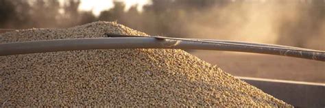What Is The Commodity Price Outlook For Corn Soybeans Wheat In 2014