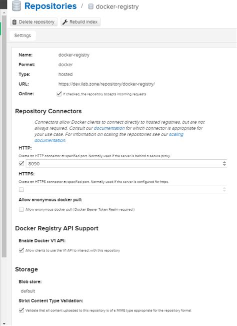 Docker Repo Setup With Already Established Reverse Proxy With Nginx Sonatype Nexus Repository