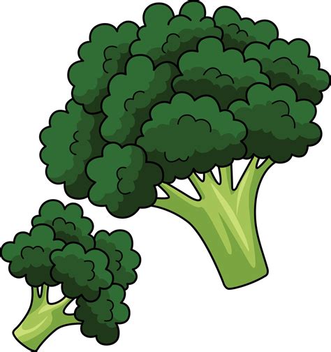 Broccoli Vegetable Cartoon Colored Clipart 21964633 Vector Art At Vecteezy