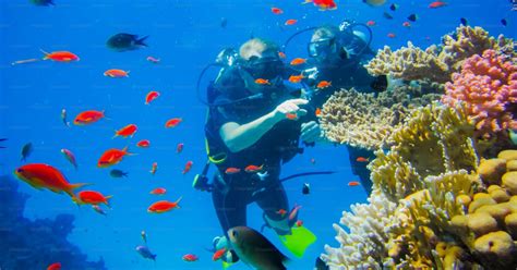 이집트 홍해 연안을 따라 매혹적인 항해 산호초에서 스쿠버 다이빙 흥미 진진한 여가와 건강한 라이프 스타일 사진 Unsplash의 취미 이미지