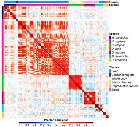 Cross Species Transcriptomics Analysis Highlights Conserved Molecular