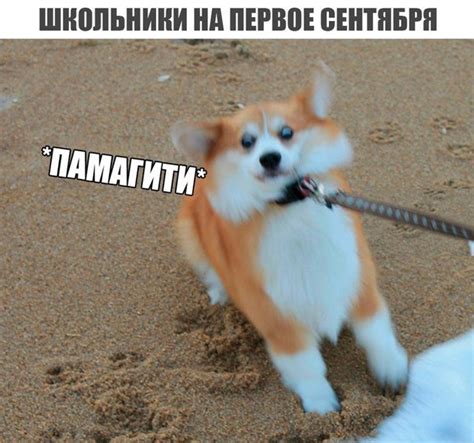 Смешная картинка №202734 Прикол мем про ШКОльники нА ПЕРВОЕ СЕНТЯБРЯ ПАМАГИТИ