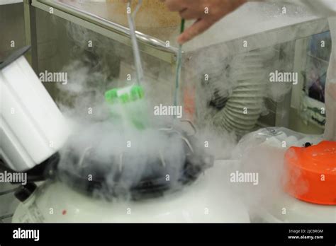 Using Liquid Nitrogen At The Lab Stock Photo Alamy