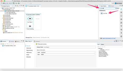 Howto Handle Hl7 Messages With Anypoint Platform Mulesoft Blog
