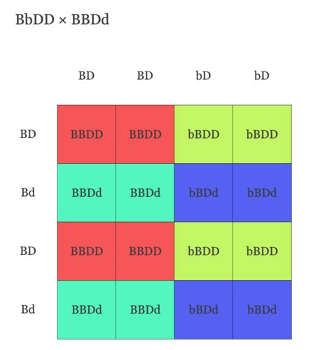 Bio 1306 Exam 4 Flashcards Quizlet