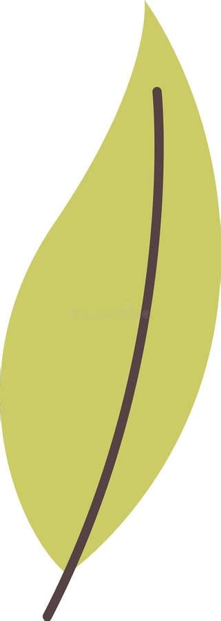 Tree Leaf Icon Stock Vector Illustration Of Symbol