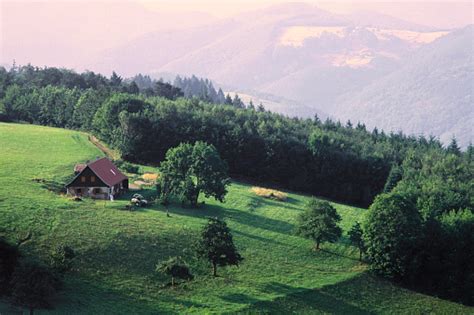 보 주 산맥 알자스 로렌 북 동부 프랑스 풍경 나무가 우거진 풍경중간 포맷 필름에 촬영 보주 데파르트망 프랑스에 대한 스톡 사진 및 기타 이미지 보주 데파르트망 프랑스
