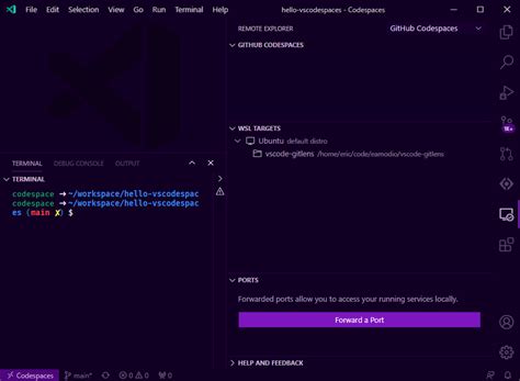 Remote Explorer Showing More Than 1 View At The Time Though One Is Dead · Issue 112200