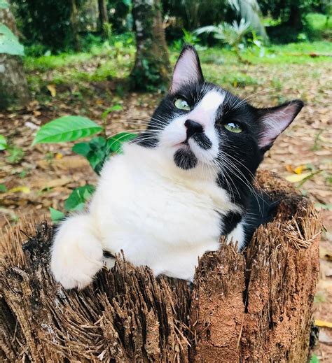 Mr හායි ෆෙන්ස් 😌 ️ අවුරුදු කියල එකක් එනවලු කියල හැම වෙලේම කියල මේ ගෙදර මිනිස්සු 😪 මම දැන් දවස්