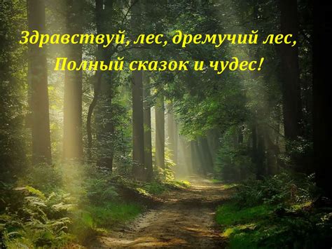 Правила пожарной безопасности в лесу презентация онлайн