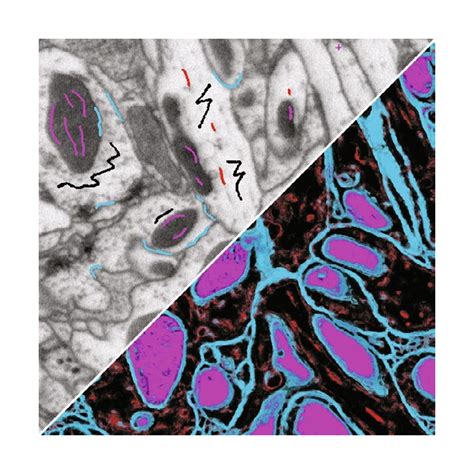Publications Scientific AI