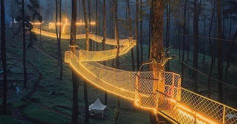 Gatlinburgs Treetop Skywalk Is The Longest Tree Based Bridge In North America Good Living Guide