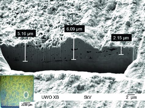Fib Cut Cross Section Of The Small Patch On The 360 D Exposed Sample Download Scientific