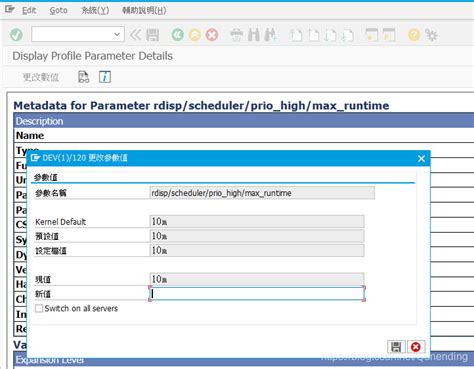Sap Basis 程序的最大运行时间修改sap 程序最大运行时间 Csdn博客