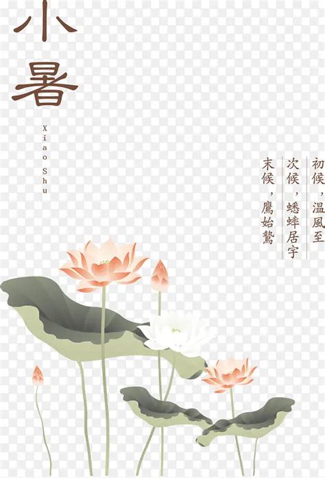 小暑节气图PNG图片素材下载 图片编号qvmokmap 免抠素材网