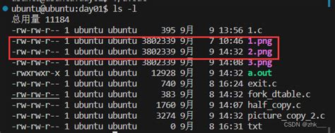 linux下利用文件io函数完成多进程复制图片，父进程复制前一半，子进程复制后一半 多进程拷贝demo csdn博客