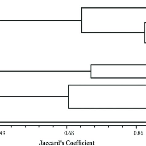 Dendrogram Showing Genetic Relationship Among Different Species And Download Scientific Diagram
