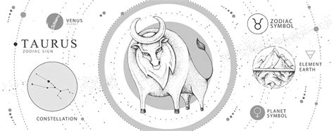 점성술 황소 조디악 기호현대 마법 마술 카드 현실적인 손 그리기 황소 머리 조디악 특성 고풍스런에 대한 스톡 벡터 아트 및 기타 이미지 고풍스런 금성 꿈꾸기 Istock
