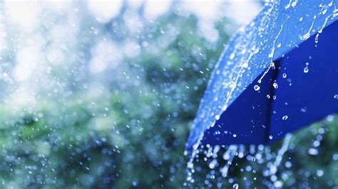 Rikthehen Reshjet E Shiut Në Disa Zona Të Shqipërisë Më Intensive