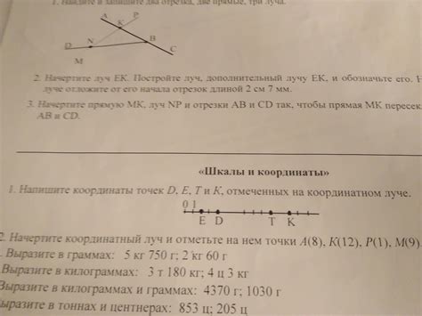 Напишите координаты точек D E T и K отмеченных на координатном луче Школьные Знания Com