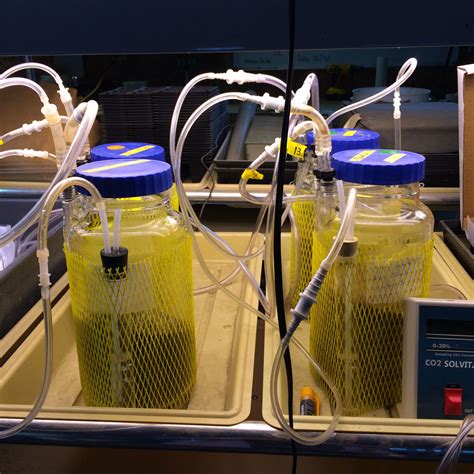Co2 Lab Carbon Dioxide Testing Woods End Laboratories