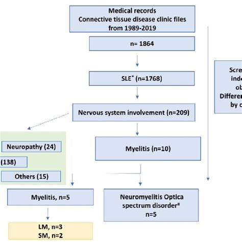 Methodology Slicc Criteria By 2015 International Consensus Download Scientific Diagram