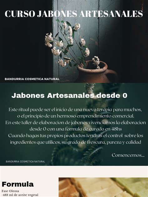 Jabones Artesanales Nivel 1 Pdf Petróleo Aceite De Oliva