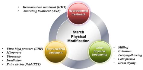 1 Common Physical Modification Of Starch Download Scientific Diagram
