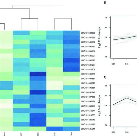 Hierarchical Clustering Analysis A The Heatmap Was Constructed Using