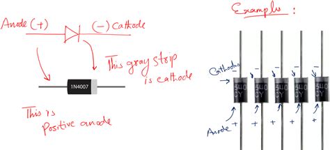 Diode Reading For Beginners Easy Guide 2025