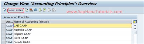Define Accounting Principle In Sap S4 Hana Sap Hana Tutorials