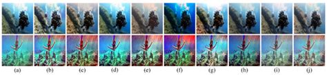 Jmse Free Full Text Mdnet A Fusion Generative Adversarial Network For Underwater Image