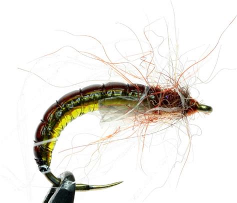 Body Stretch Bug Back Bloody Red I Love Fly Fishing