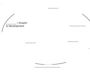 Biology Human Life Cycle Diagram Quizlet