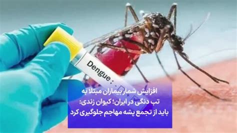 افزایش شمار بیماران مبتلا به تب دنگی در ایران؛ کیوان زندی باید از تجمع