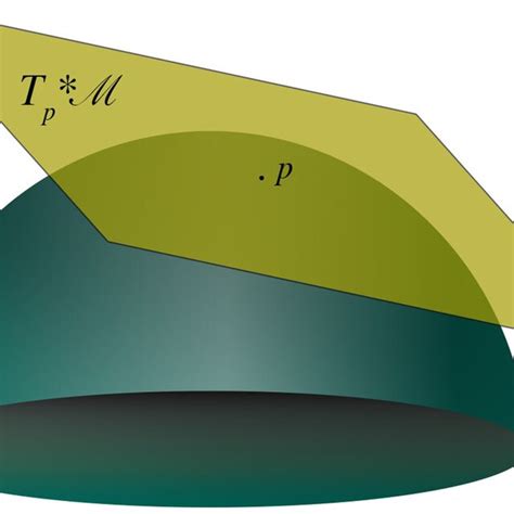 Manifold M And The Corresponding Tangent Space Tp M At Point P At Each Download Scientific