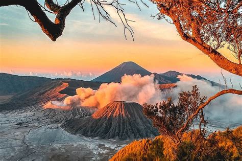 east java vibes 2025 all you need to know before you go w reviews