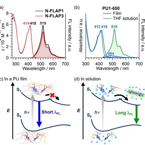 A Segmented Polyurethane Composed Of Hard Segments And Soft Segments Download Scientific