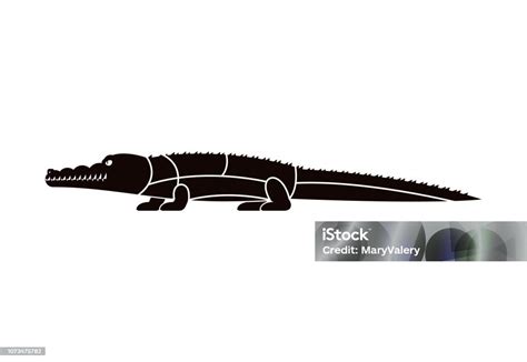 악어 고기의 컷입니다 악어 고기를 다른 부품의 구성표 라인 실루엣 육체 악어를 잘라 하는 방법 고기에 대 한 포스터 정육점