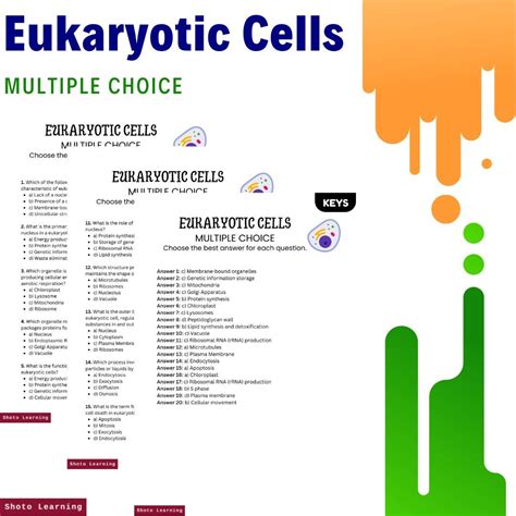 Cellular Wonders Eukaryotic Cells Powerpoint And Speech Package