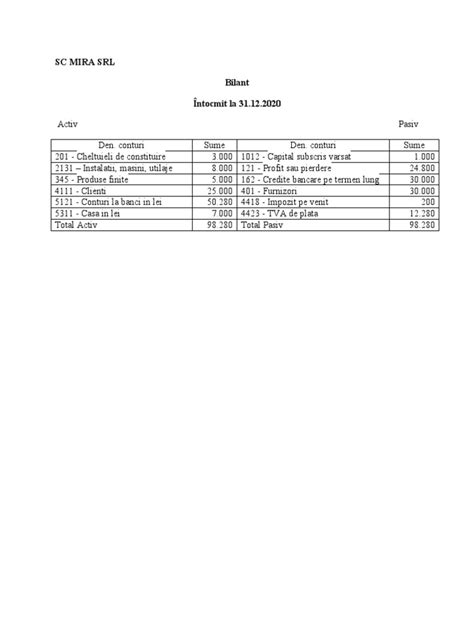 Model Bilant Final Pdf