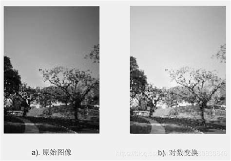 Matlab 图像增强（对数变换）cameraman函数用法 Csdn博客