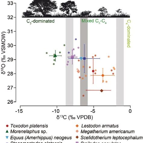 Raw And Mean ± 1 Standard Deviation δ 13 C ‰ Vpdb And δ 18 O