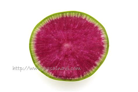 紅芯大根／紅心大根／こうしんだいこんの写真（画像）｜大根