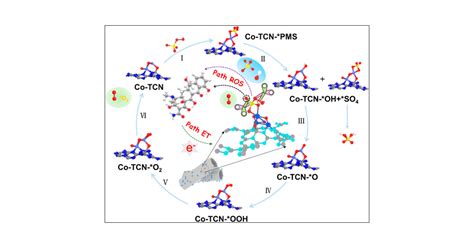 Atomically Dispersed Cobalt Anchored On Hollow Tubular Carbon Nitride Mediates Direct Electron