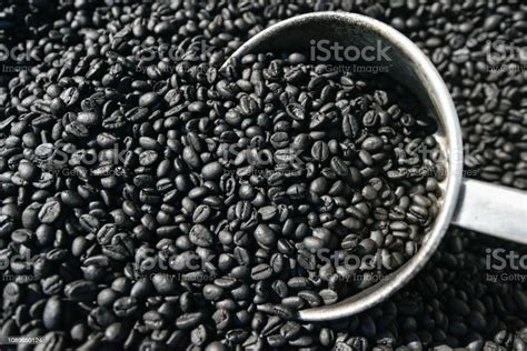 갓 볶은 향기로운 Robusta 커피 콩에서 커피 콩 지상에은 특 종 유기농 커피입니다 크 라비 태국 현지 제품입니다 상위 뷰 근접입니다 선택적 초점입니다 낮은 키입니다